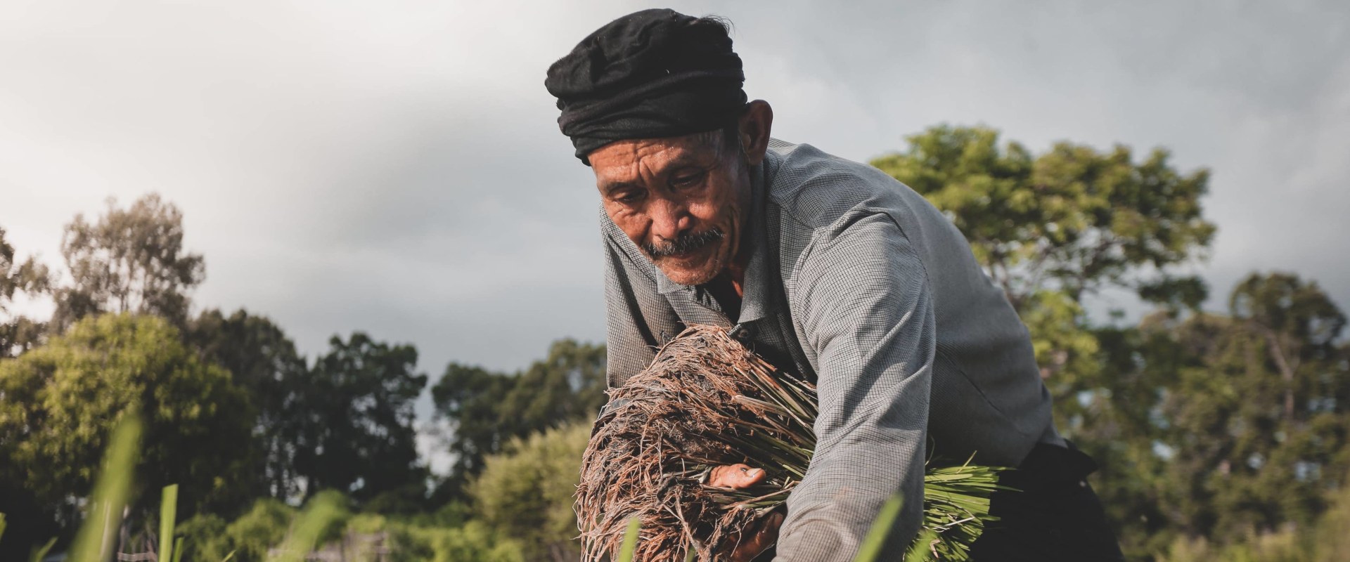 Black owned farm