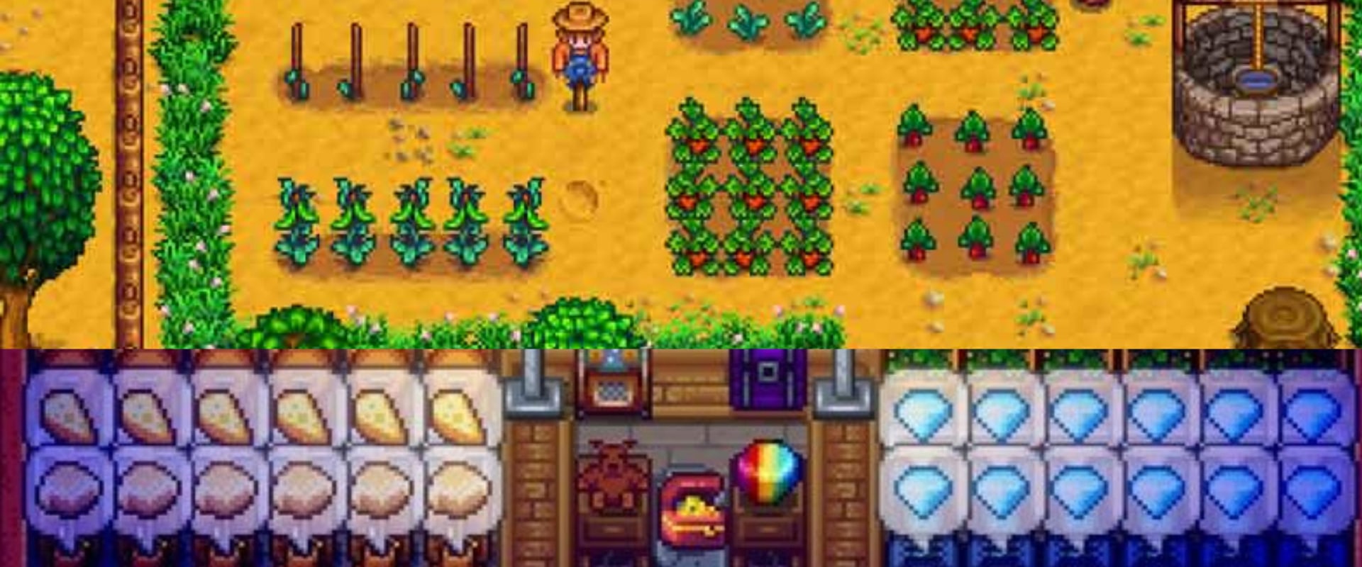 Black owned farm
