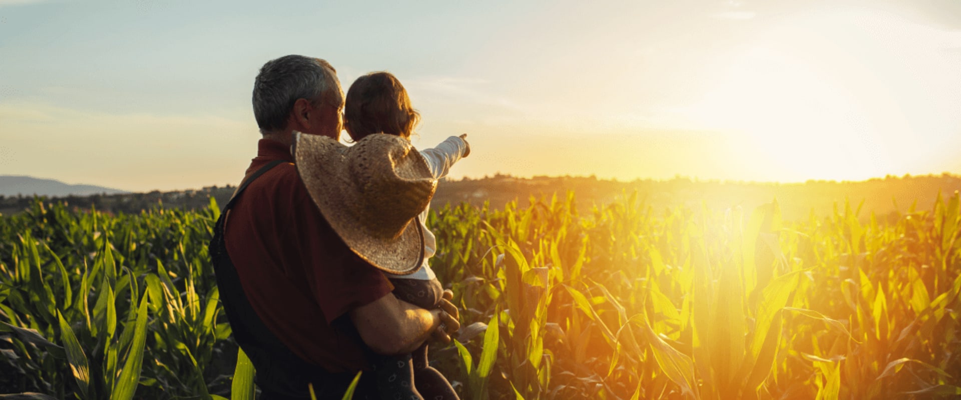 The Benefits and Challenges of Owning a Small Farm